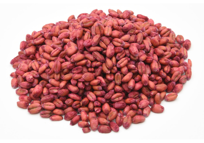 Eraticate Whole Wheat Bromadiolone 20kg contains 2x10kg inner packs