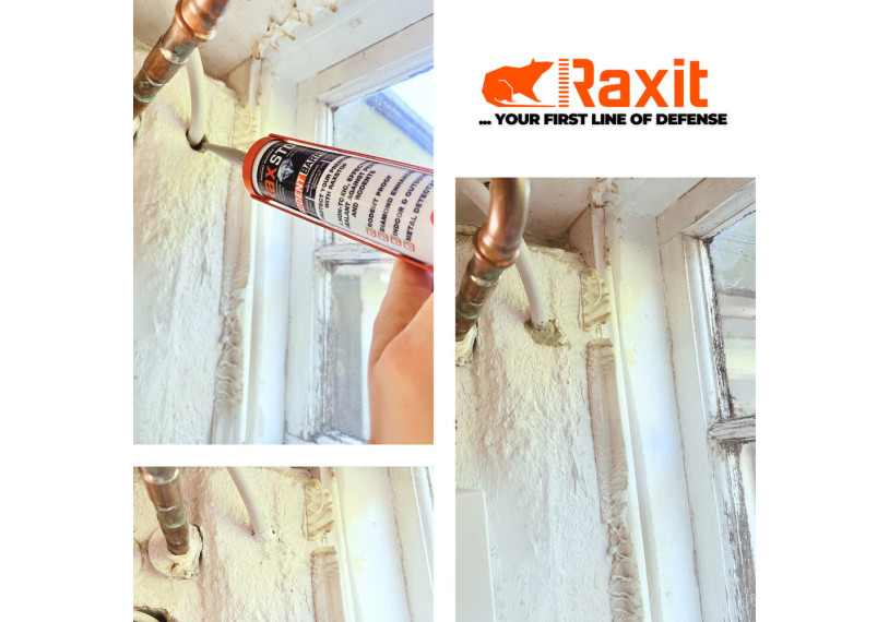 RaxStop Rodent Sealant