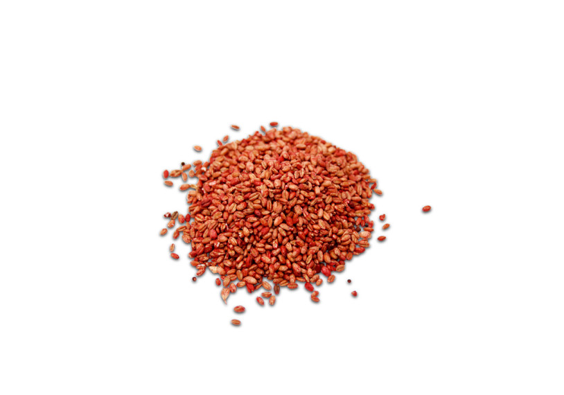 Ruby Grain Difenacoum